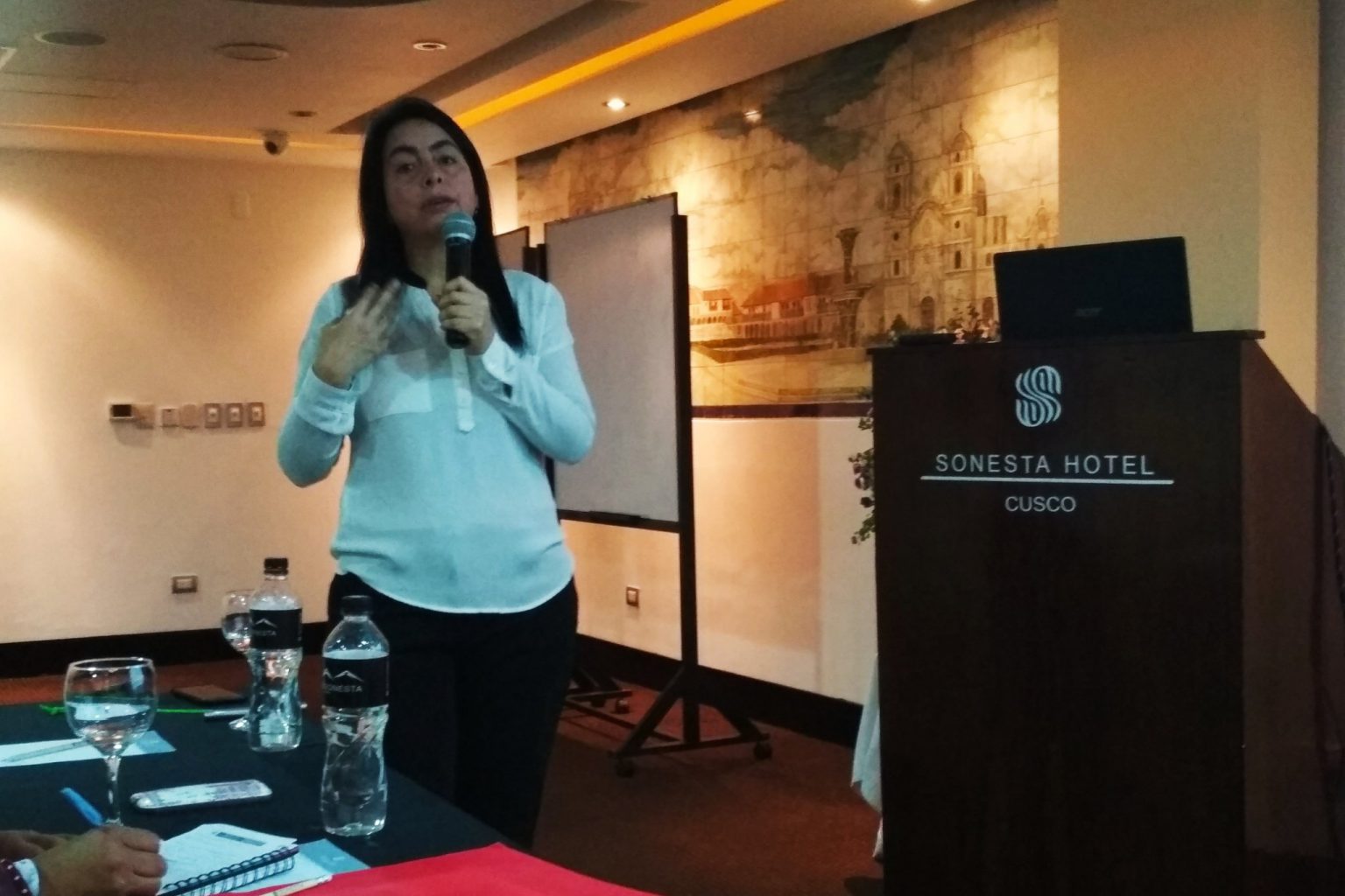 Pilar Tello: todo aporte deberá estar identificado en los informes ...